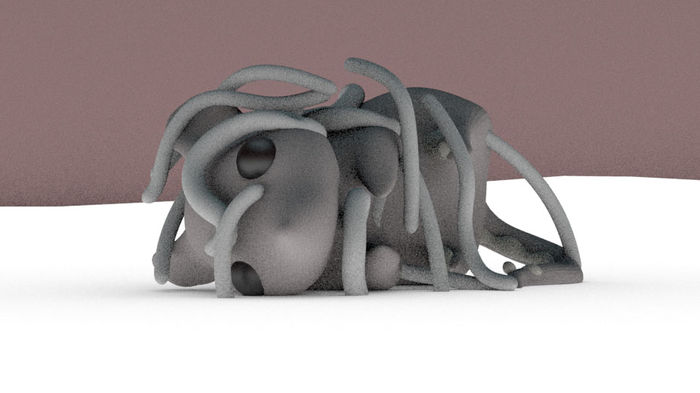 Jana Bula - Animation Luzern Wiki